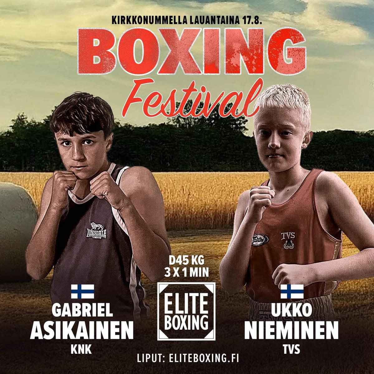 Boxing Festival - Suomen Nyrkkeilyliitto Ry